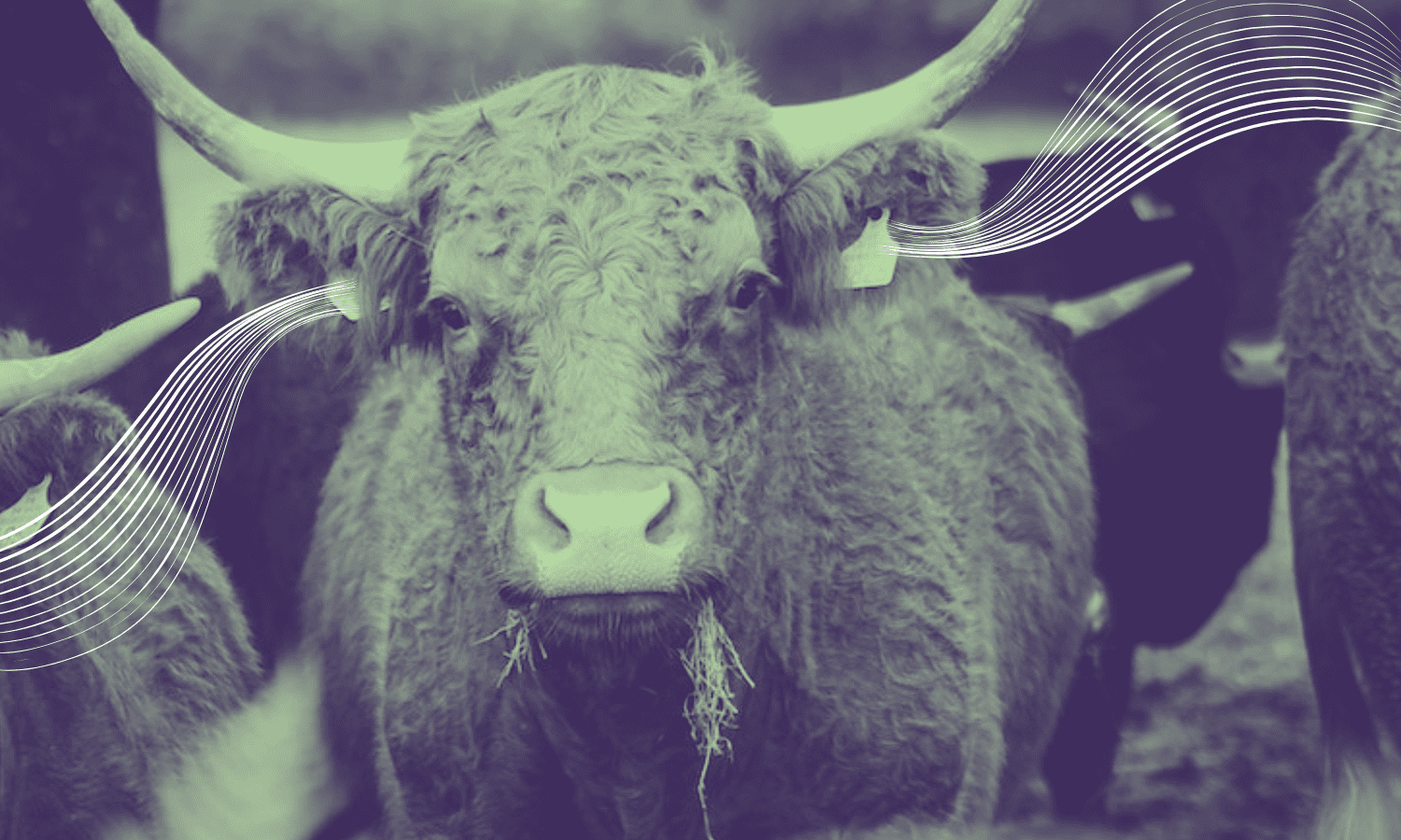 Consejos para dejar de rumiar en exceso